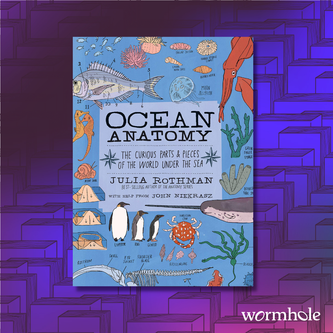 Ocean Anatomy: The Curious Parts & Pieces of the World Under the Sea ...