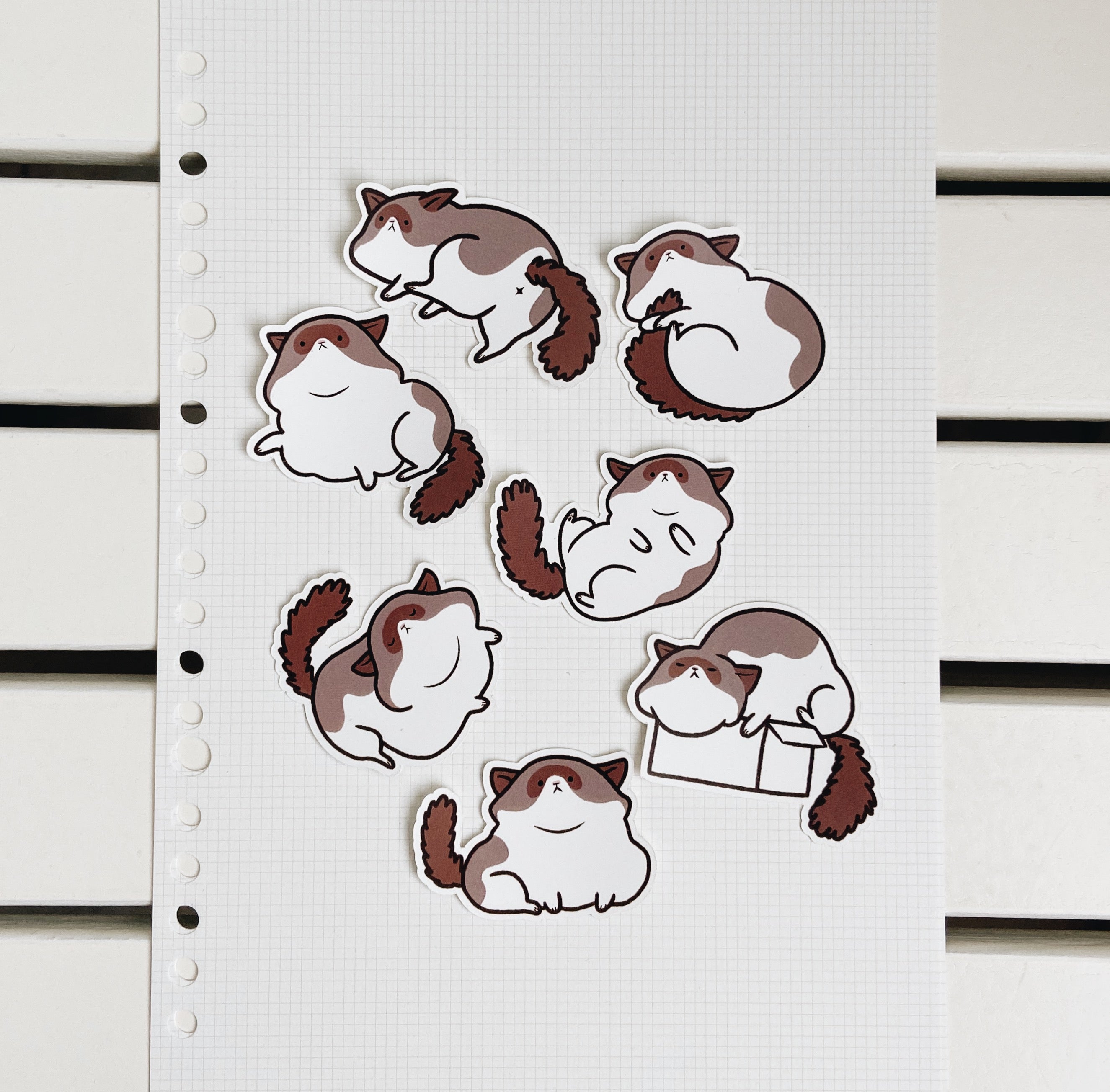 Cute Chonky Cat Die Cut Stickers – Wormhole