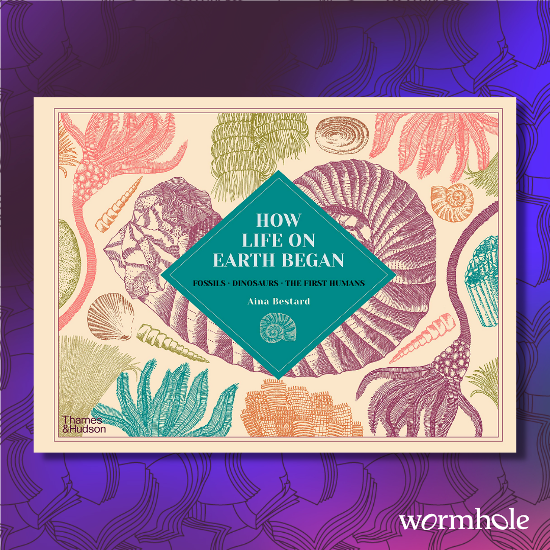 How Life On Earth Began – Wormhole